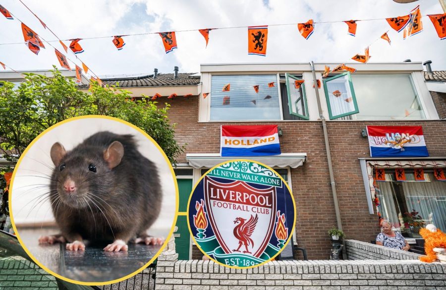 'Rat infestations': £40.4m Liverpool player at centre of housing scandal