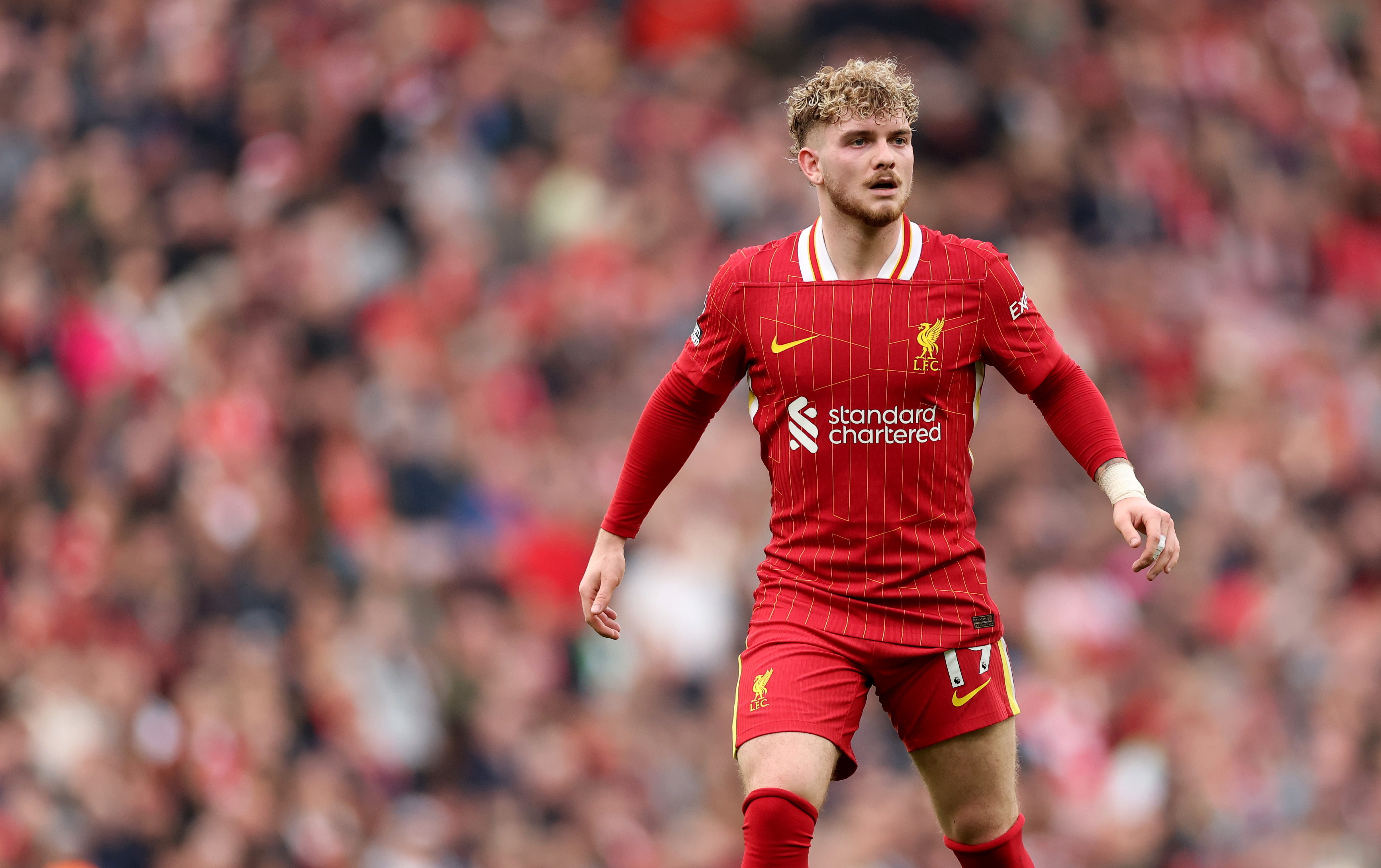 Liam Keen: Wolves really like Harvey Elliott but won't spend £40m on him